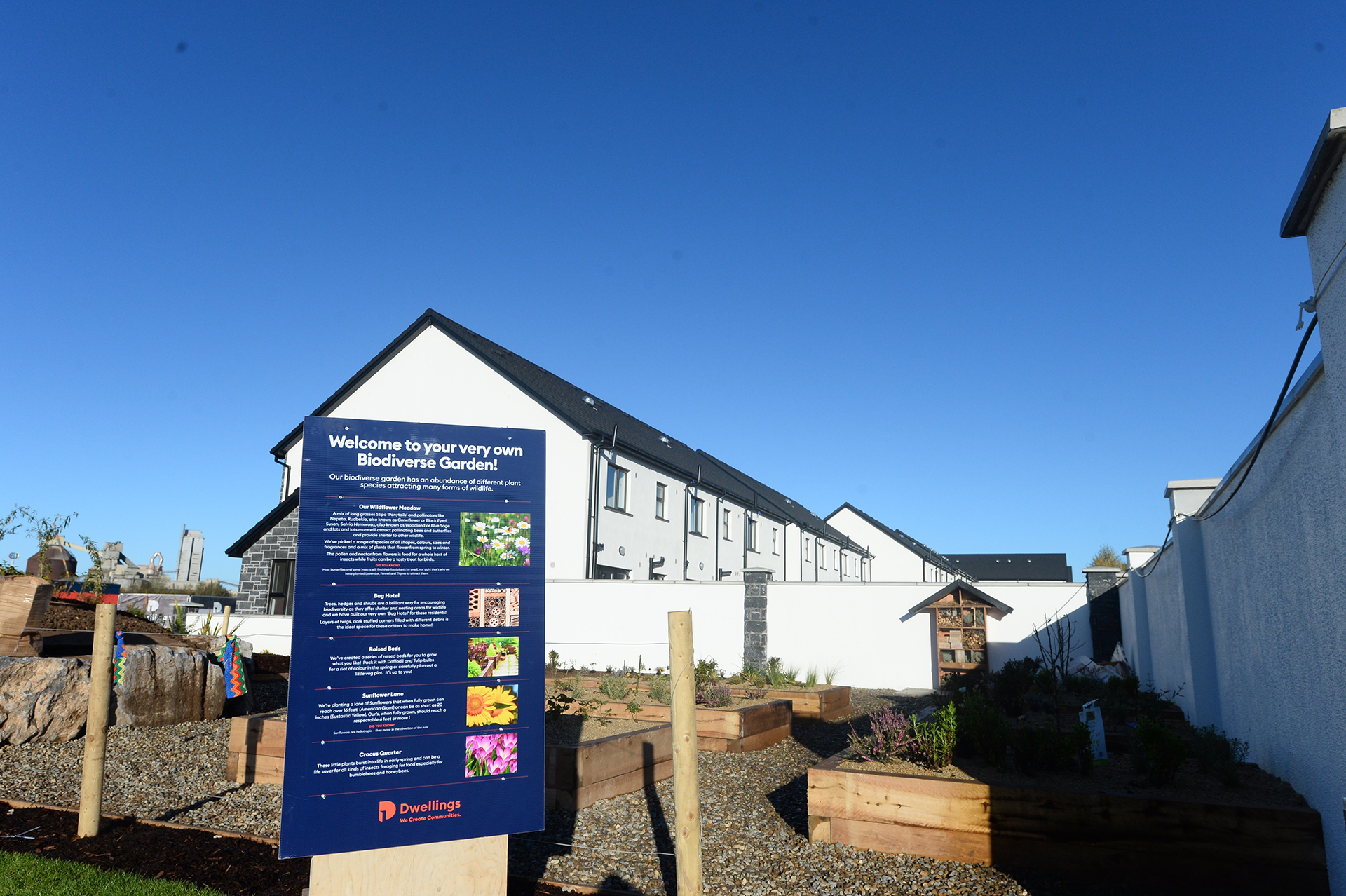 Newtown Avenue, Castletroy - Dwellings