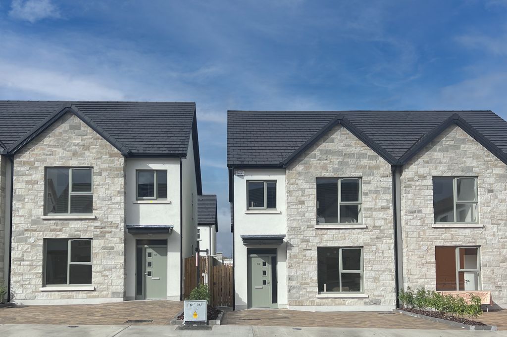 Newtown Avenue, Castletroy - Dwellings