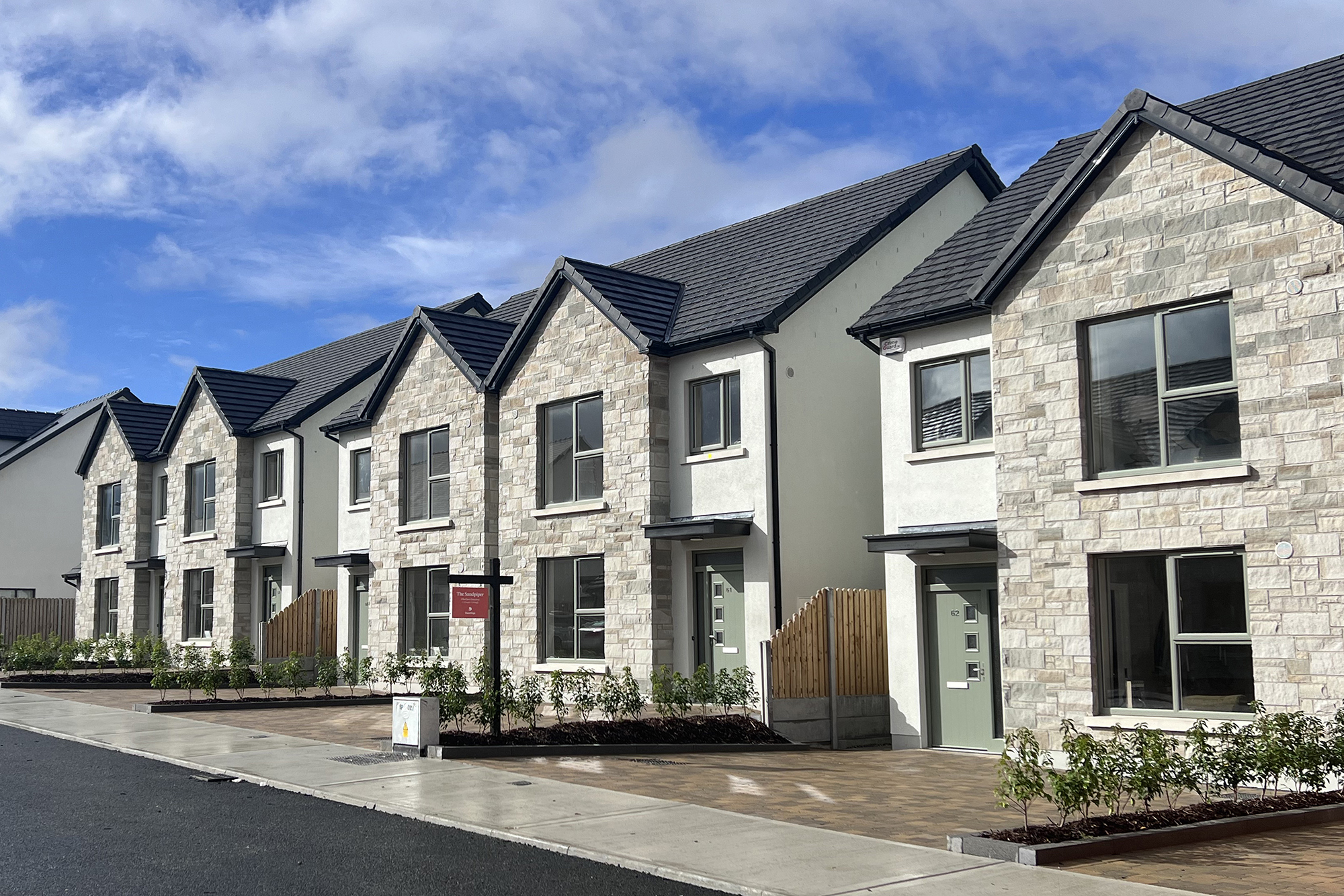 Newtown Avenue, Castletroy - Dwellings